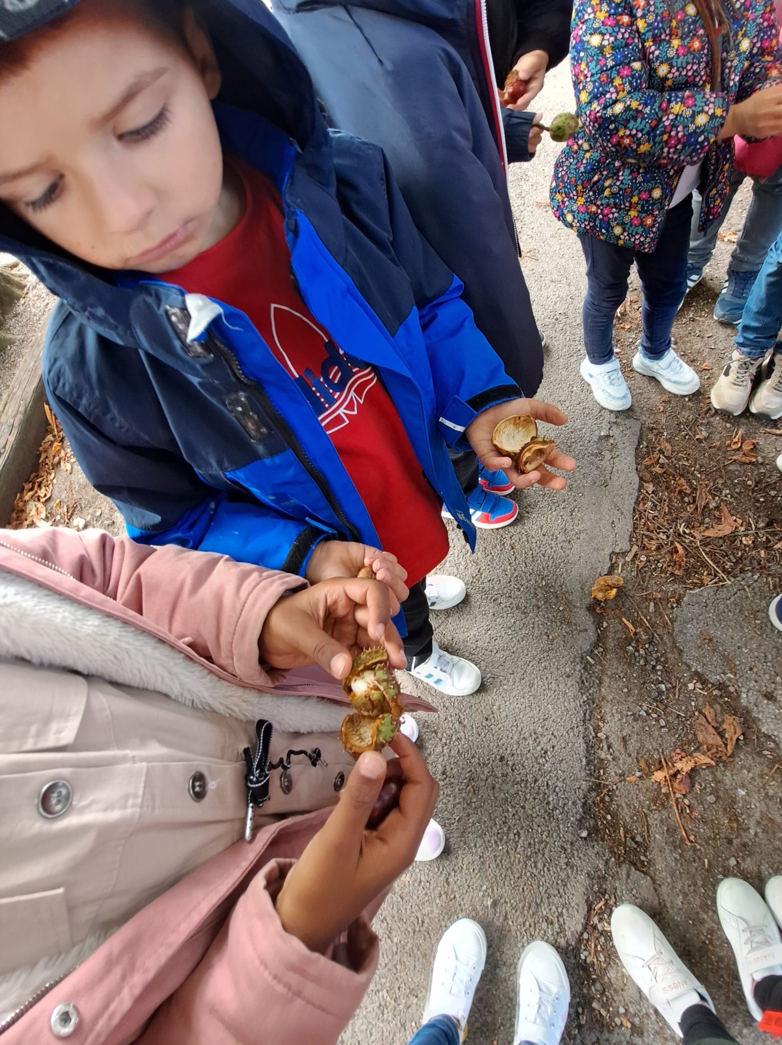 Athénée Royal d'Athus – Osez l'humain